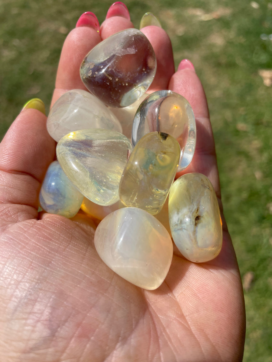 Yellow Obsidian Tumble – Boodi Bunbury